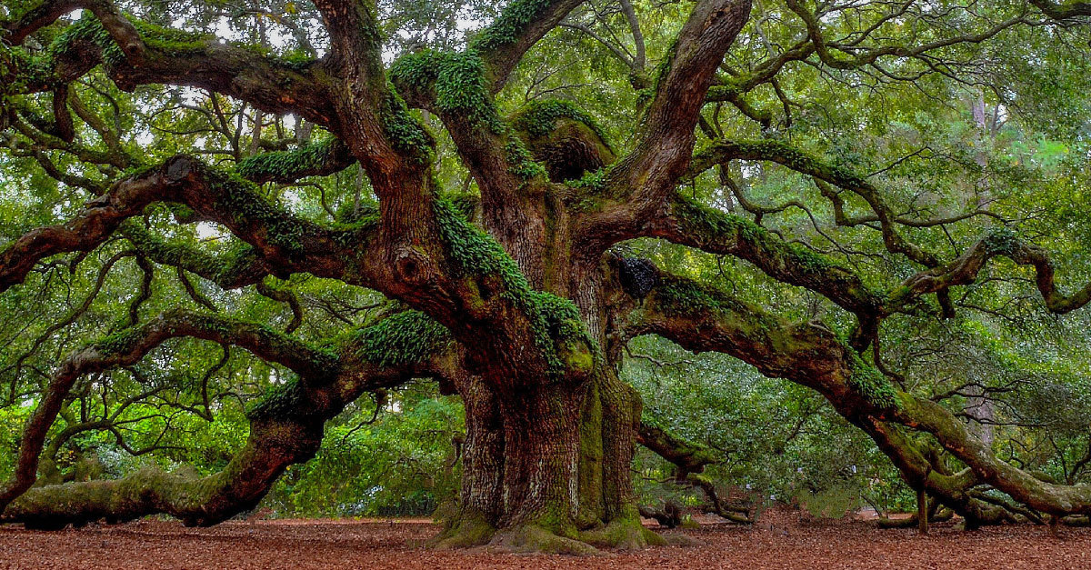 Nick Sando tears down the pension industry value chain | Octopus Ventures